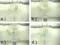 Tiny injector to speed development of new, safer, cheaper drugs ...