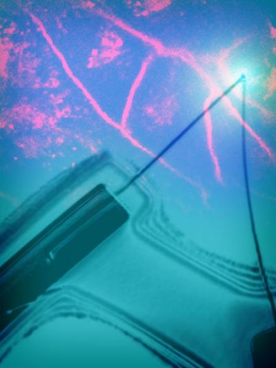 Delivery of a 2-Terminal Nanoscale Electronic Sensor Into Single Cells ...