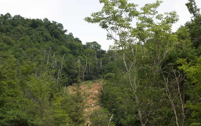 A medieval castle site with shallow landslide [IMAGE] | EurekAlert ...