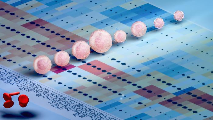 Cell atlas offers clues to how childhood leukemia takes hold | EurekAlert!