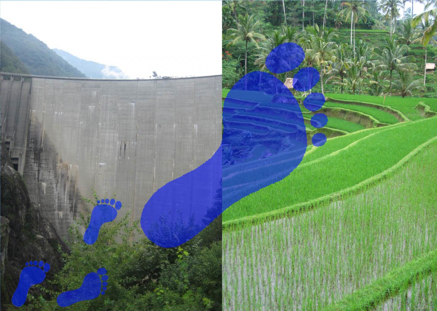 Local Human Activity Altering Global Water Footprint More than Thought ...