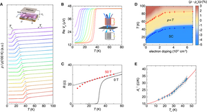 Relationship between superconductivity and strange-metal state in FeSe ...