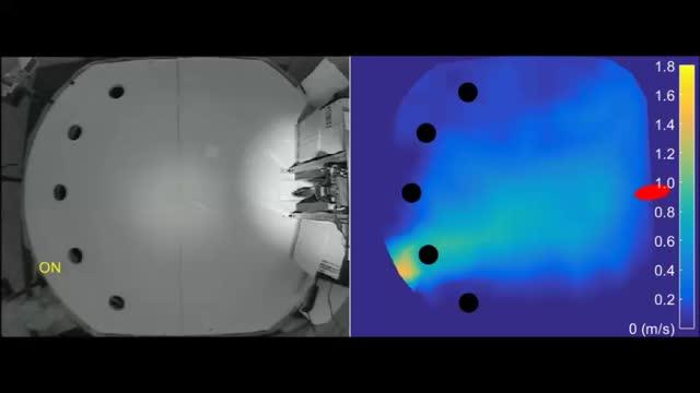 To Follow the Wind, Rats Use their Whiskers (2 of 8) | EurekAlert!