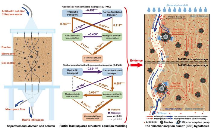 Biochar may help stop antibiotics from escaping through hidden soil ...