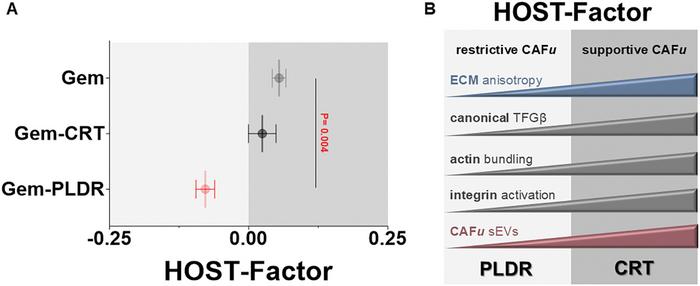 Harmonic Output of Stromal Traits Factor (HOST-Factor), a composite ...