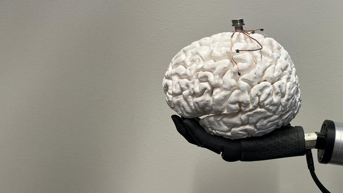 Restoring lost senses: one technology for both artificial vision and ...