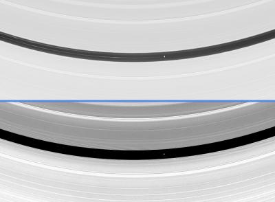 Revealing Pan's Influence [IMAGE] | EurekAlert! Science News Releases