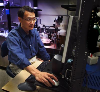 Dr. Lin Mei [IMAGE] | EurekAlert! Science News Releases