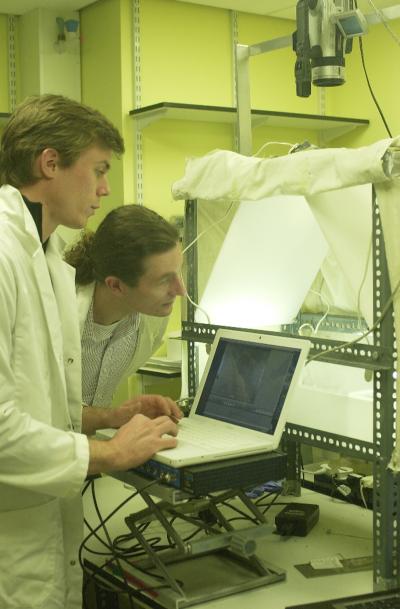 Serotonin -- Bringing Locusts Together (3 of 9) | EurekAlert!