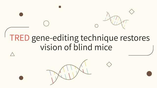Gene-editing Technique Restores Vision of Blind Mice | EurekAlert!