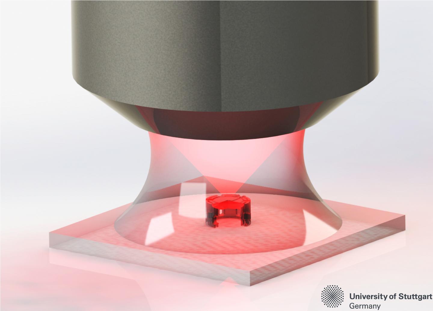 3-D Printed 'Eagle Eye' Camera Mimics Sharp Vision of Predators (5 of ...