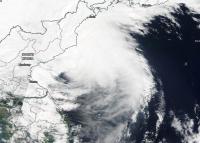 NASA finds Maysak becoming extra-tropical | EurekAlert!