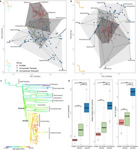 Scientists expand understanding of limb evolution in earliest birds ...