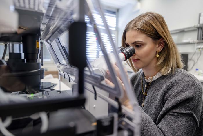 Mitochondria as control centers of cell communication | EurekAlert!