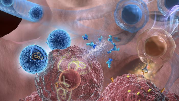 Illustration showing exosomes (blue) deliver IL-12 mRNA to lung cancer ...