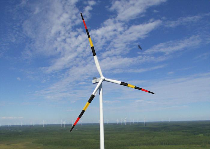 Bird collisions with wind turbines can be reduced with warning colors ...
