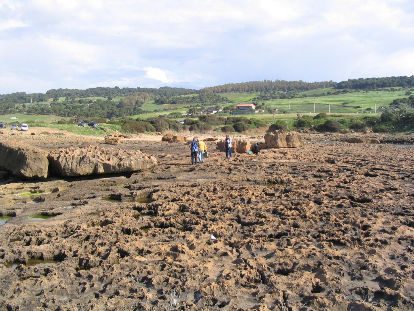 Tsunamis or Storms? Clarifying the History of Extreme Mediterranean ...