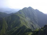 Global Map of Roadless Areas Reveals Roads Fragmenting Majority of Land ...