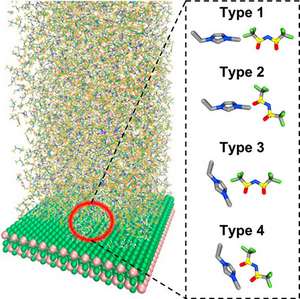 Generality vs. specificity: unraveling the electric double layer ...
