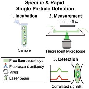 Fast and accurate virus detection method using 3D printed setup | EurekAlert!