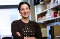 Adapting fish defenses to block human infections | EurekAlert!