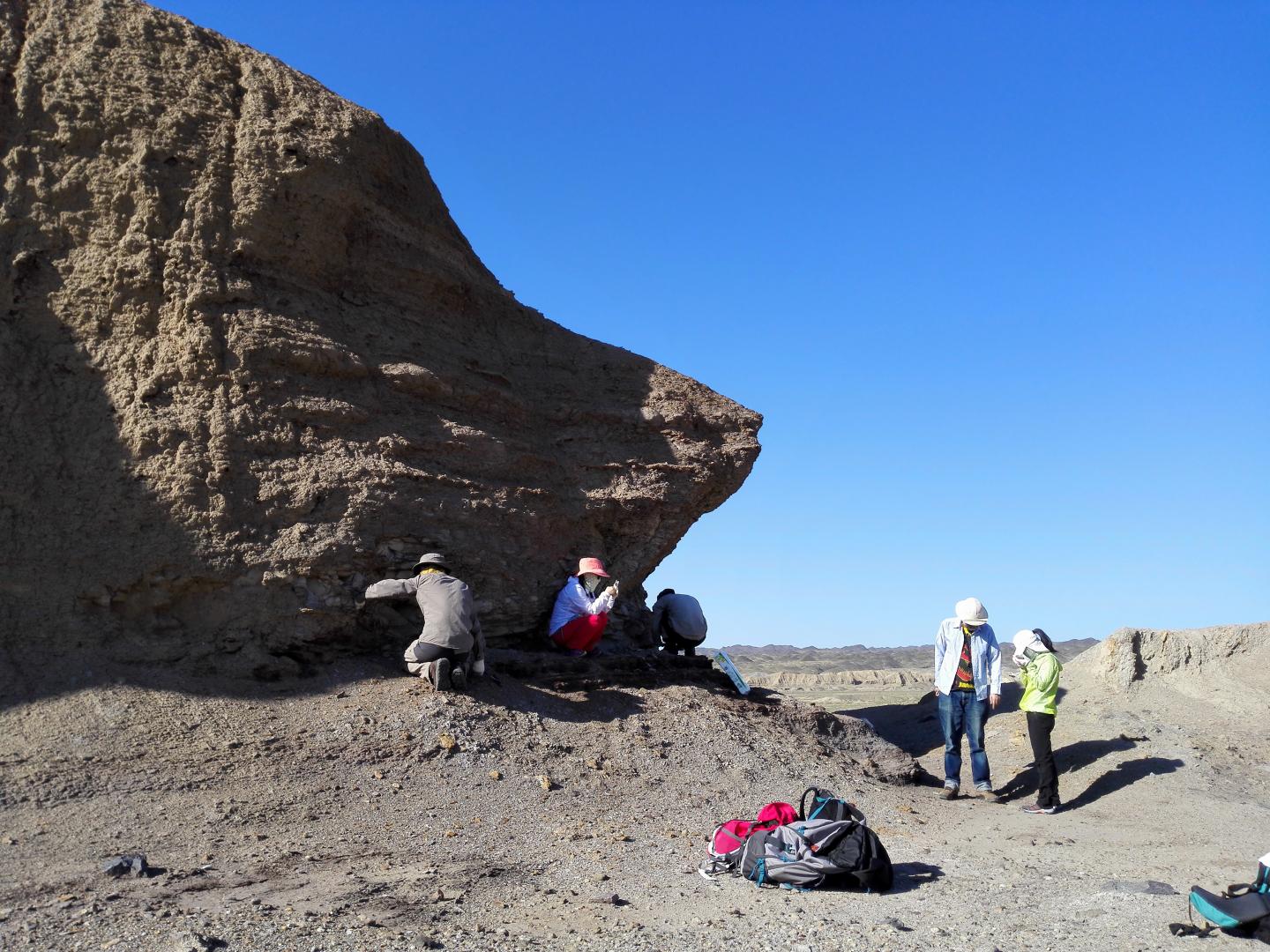 New Fossils Show Extraordinary Expansion of Insects During the Triassic ...