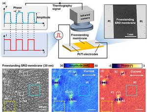 Thermal imaging reveals hidden defects in freestanding oxide membranes ...