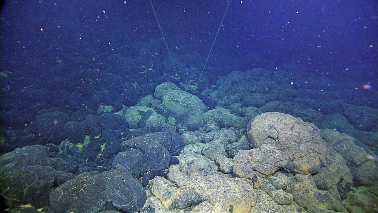 Getting to the Bottom of Deep Sea Volcanic Activity (1 of 9) [IMAGE ...