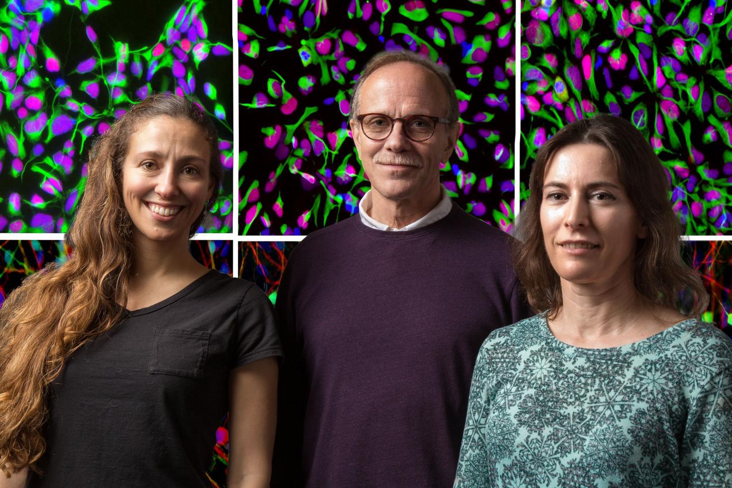Carol Marchetto, Rusty Gage, Shani Stern, Salk Institute [IMAGE ...