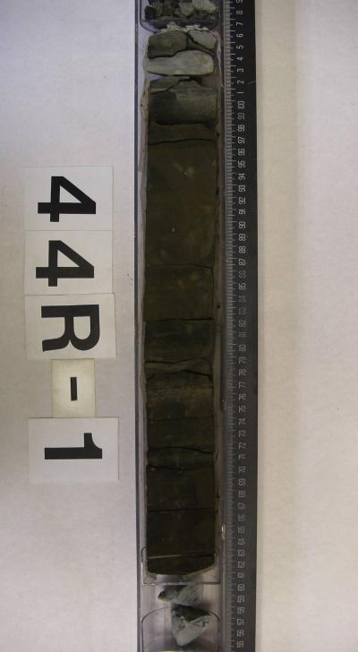 Shatsky Rise Core [IMAGE] | EurekAlert! Science News Releases