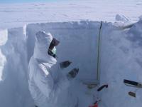 Snow Sampling, Antarctica | EurekAlert!