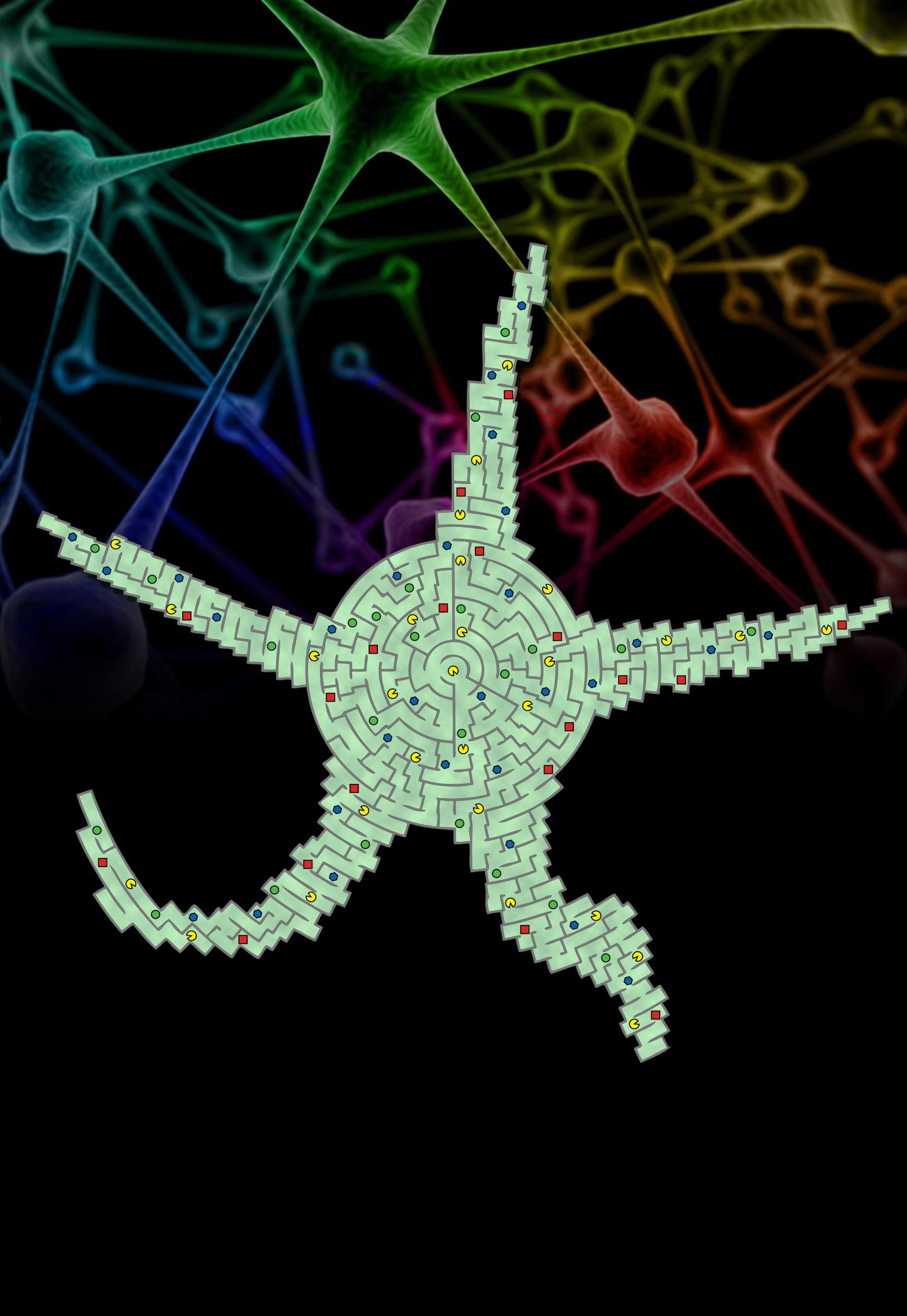 A Look at Proteasomes in Neurons (1 of 2) [IMAGE] | EurekAlert! Science ...