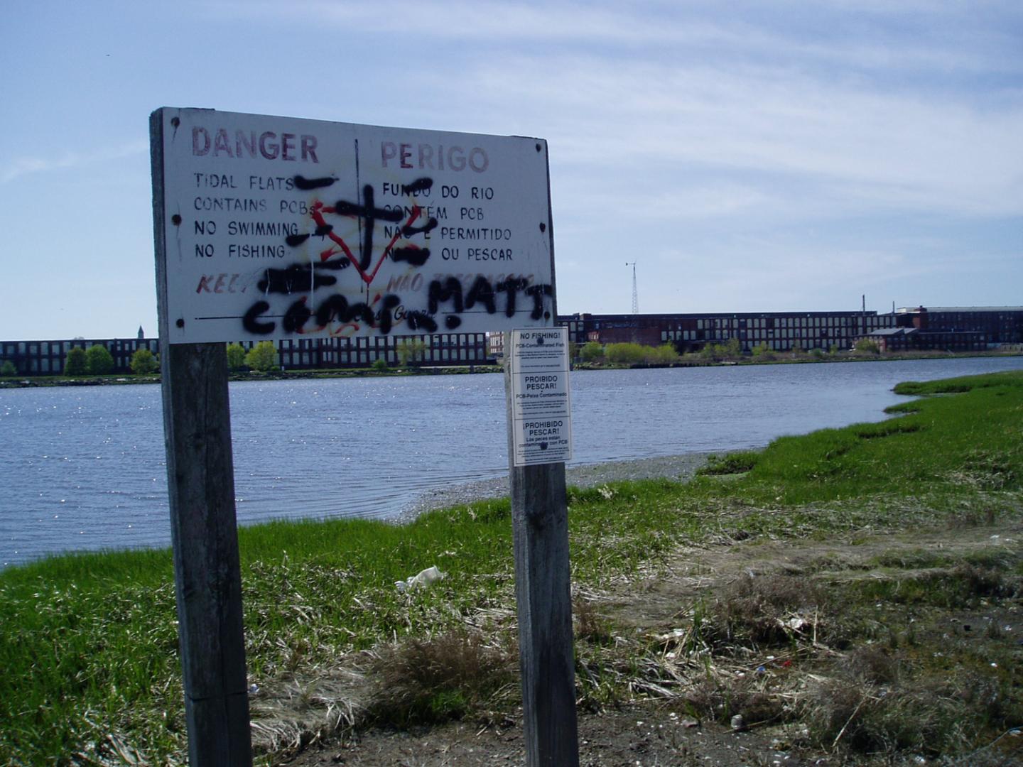 Atlantic Killifish's Natural Habitats [IMAGE] | EurekAlert! Science ...