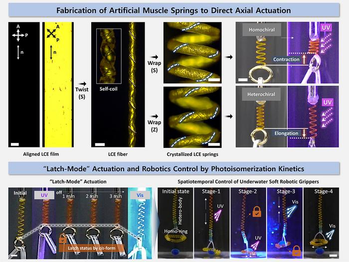 [Fig 2] Designing Structures and “Latch-Mode” Actuation of Artificial ...