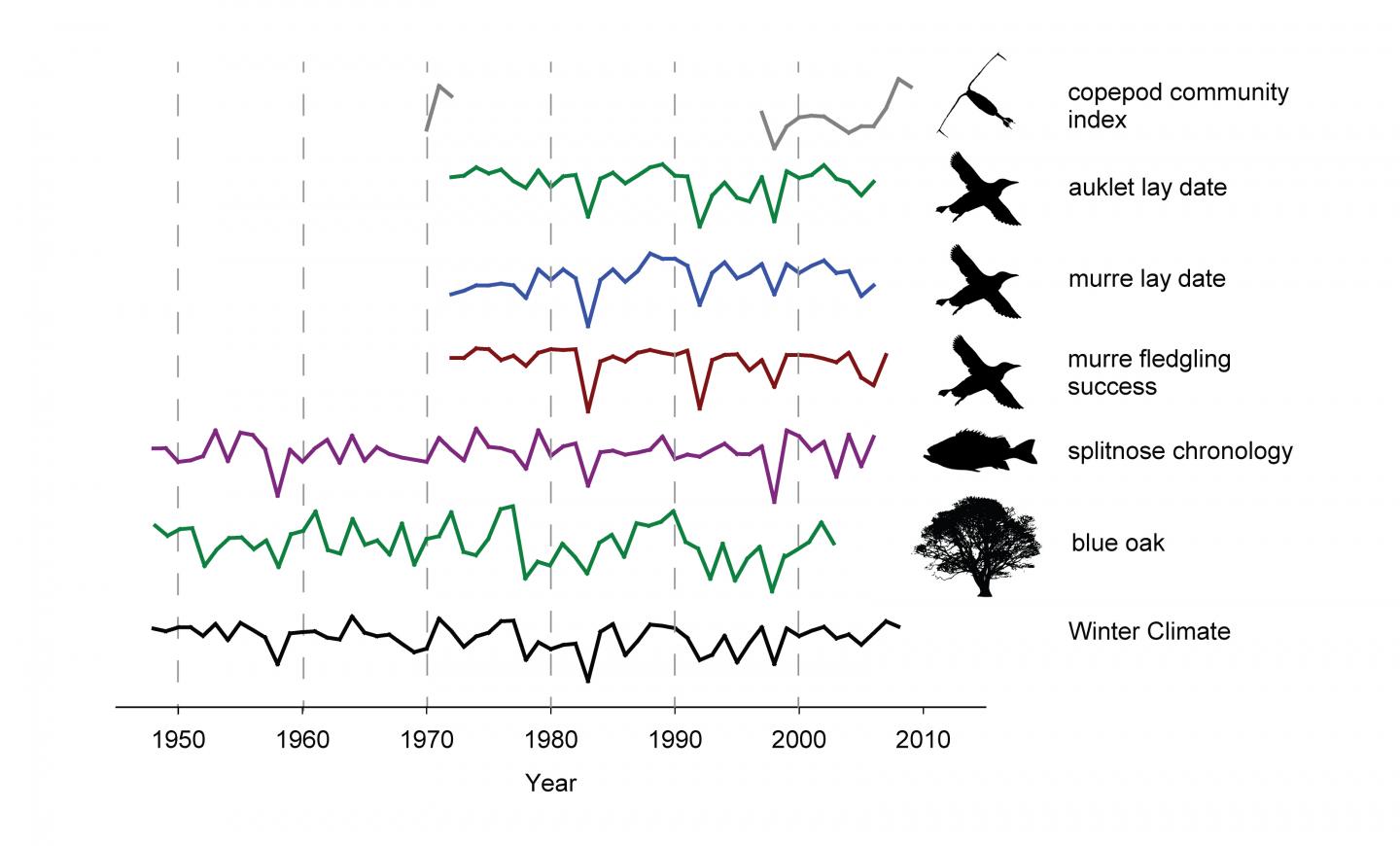 Thanks to the Trees: A 6-Century Record of California Upwelling (3 of 7 ...