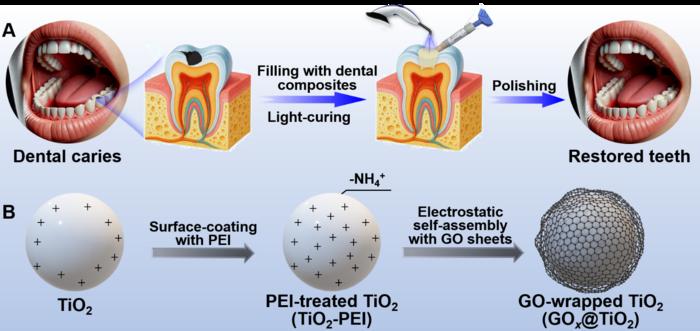 Scientists embed GO-wrapped TiO2 in dental restorative composites for ...