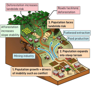 Landslide disaster risk in the Kivu Rift is linked to deforestation and ...