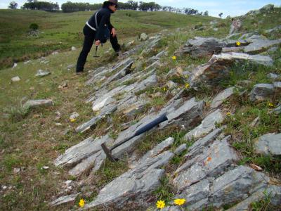 An Earlier Appearance of Bilaterians (6 of 9) [IMAGE] | EurekAlert ...