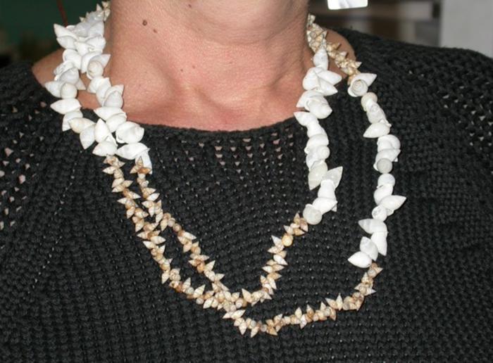 Shell necklace [IMAGE] | EurekAlert! Science News Releases
