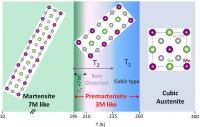Robust Bain distortion in the premartensite phase of a platinum ...