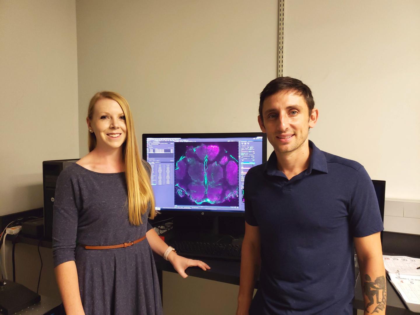 Can't sleep? Fruit flies and energy drinks offer new clues | EurekAlert!