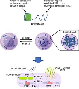 Reversible manipulation of liquid-liquid phase separation using a ...