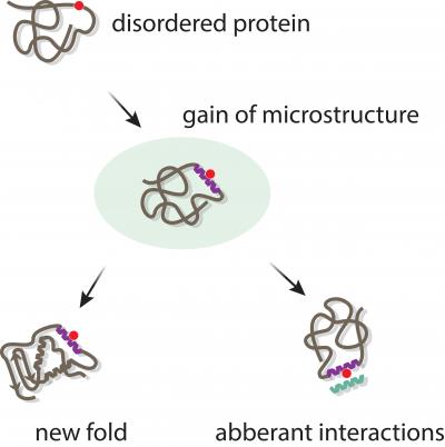 Scientific Figure [IMAGE] | EurekAlert! Science News Releases