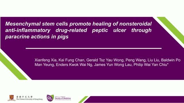 Stem Cell Treatment Accelerates Healing of Drug-Related Ulcers in Pigs ...