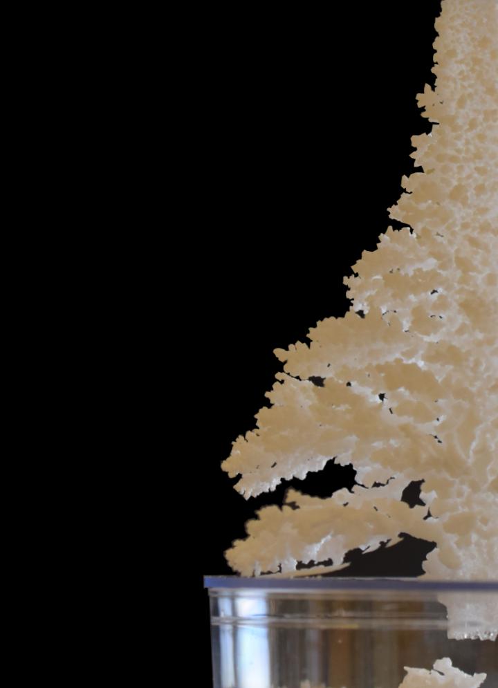 Destructive "Salt Creeping" Controlled with Additives That Suppress ...