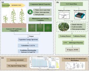 3D modeling reveals how deep drones can “see” into maize canopies ...