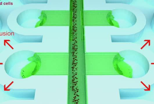 Portable, Handheld Chip for On-demand Detection of Pathogen RNA or DNA ...
