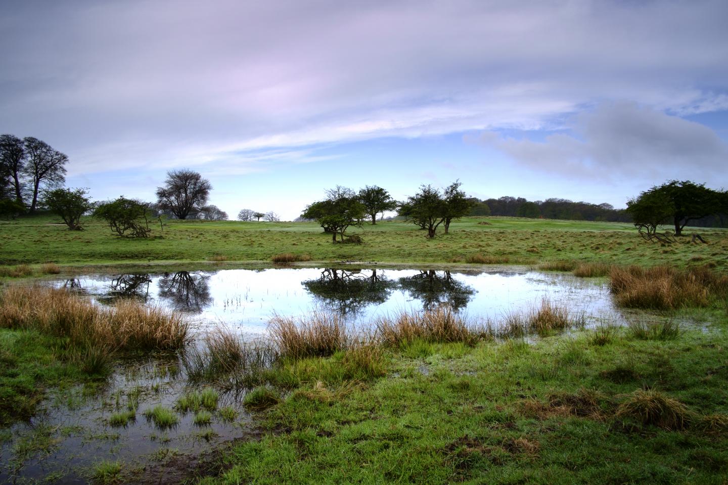 Catchment Geology Rules Freshwater Plant Communities (14 of 14 ...
