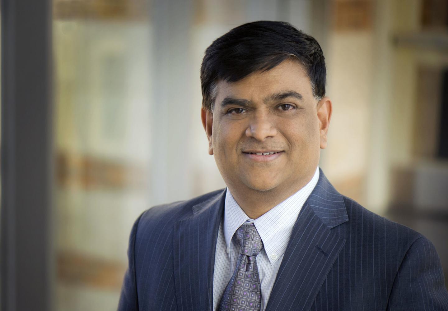 Anand Puppala, University of Texas at Arlington [IMAGE] | EurekAlert ...