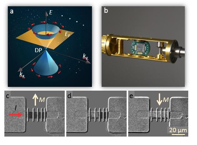 Schematic Diagram [IMAGE] | EurekAlert! Science News Releases